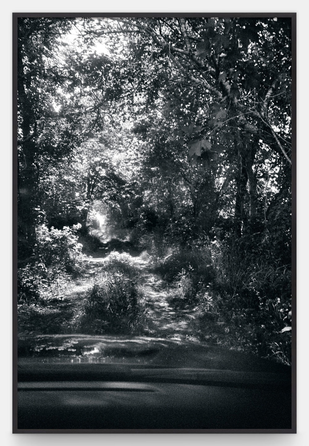 DASHCAM – Dash Snow: Photographs of Life - Morán Morán